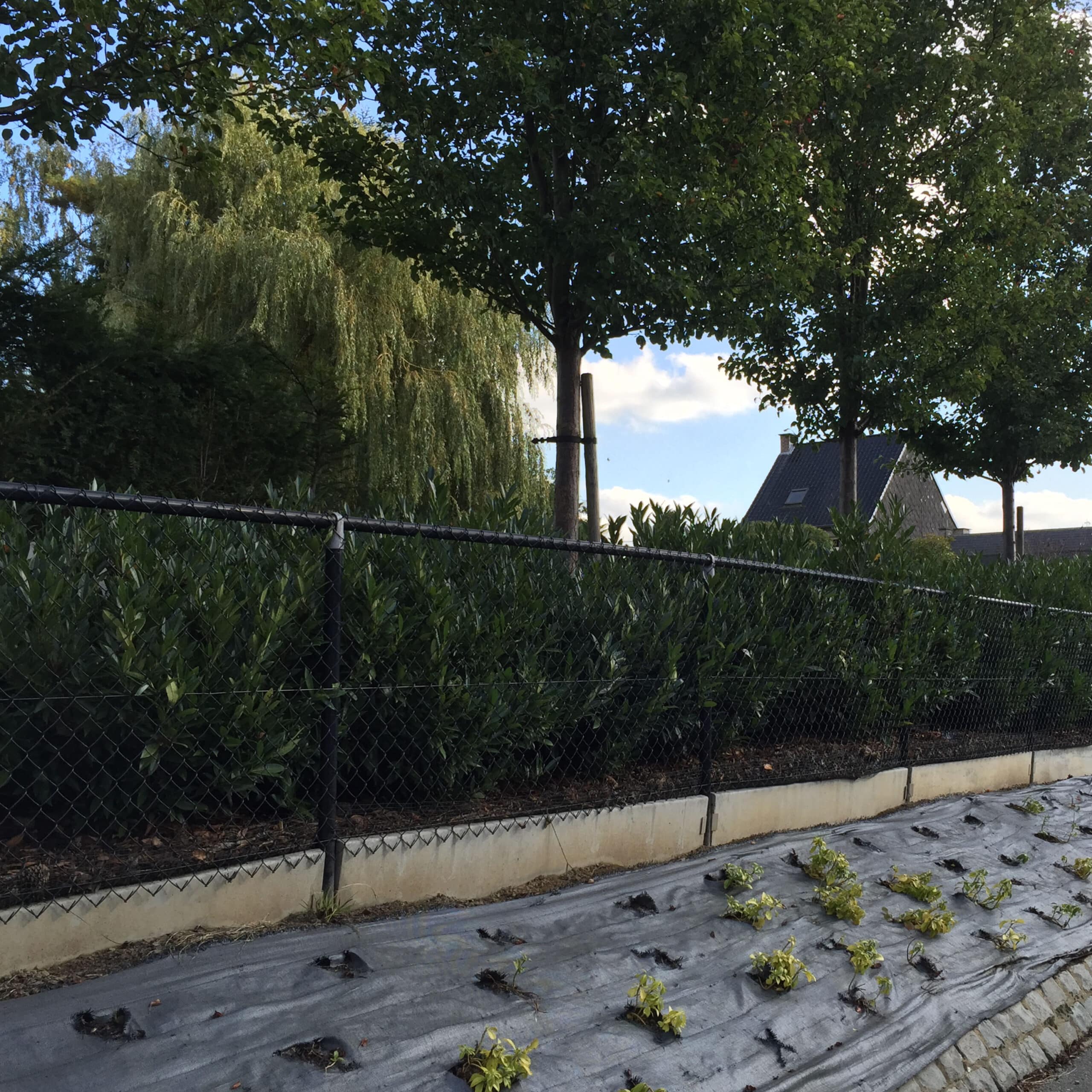 Draadafsluiting: soorten en prijs | Tuinpraat.be