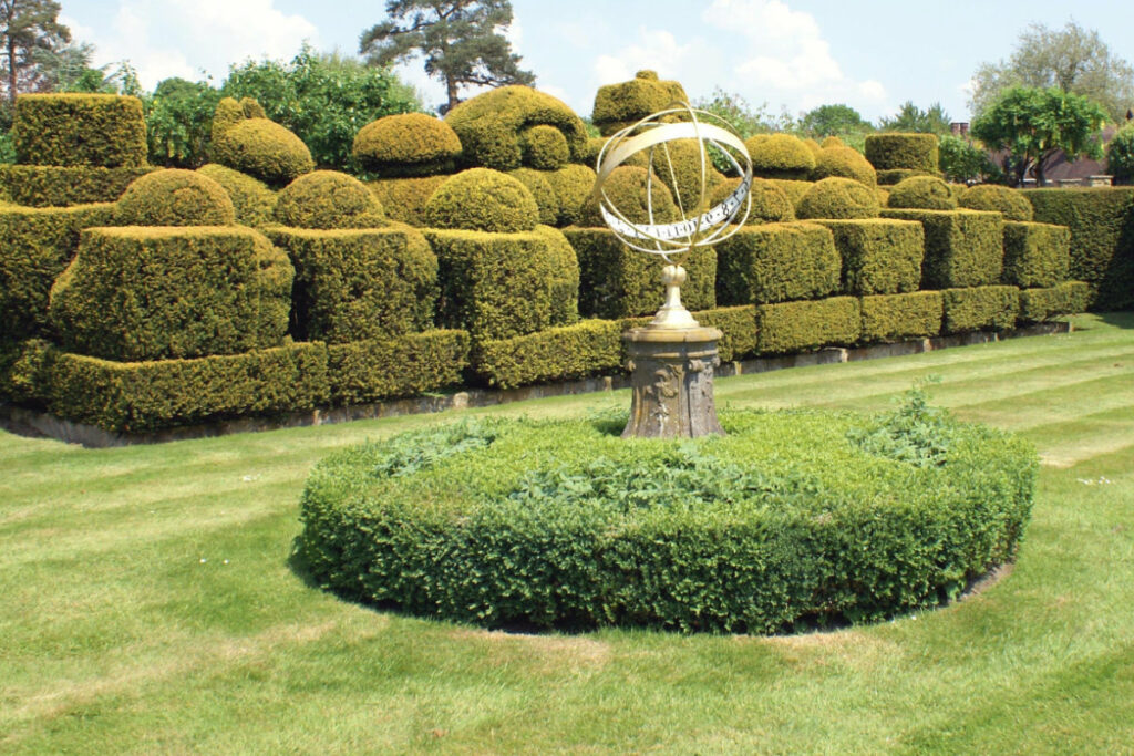 Taxus Snoeien Hoe En Wanneer taxus-snoeien-hoe-en-wanneer