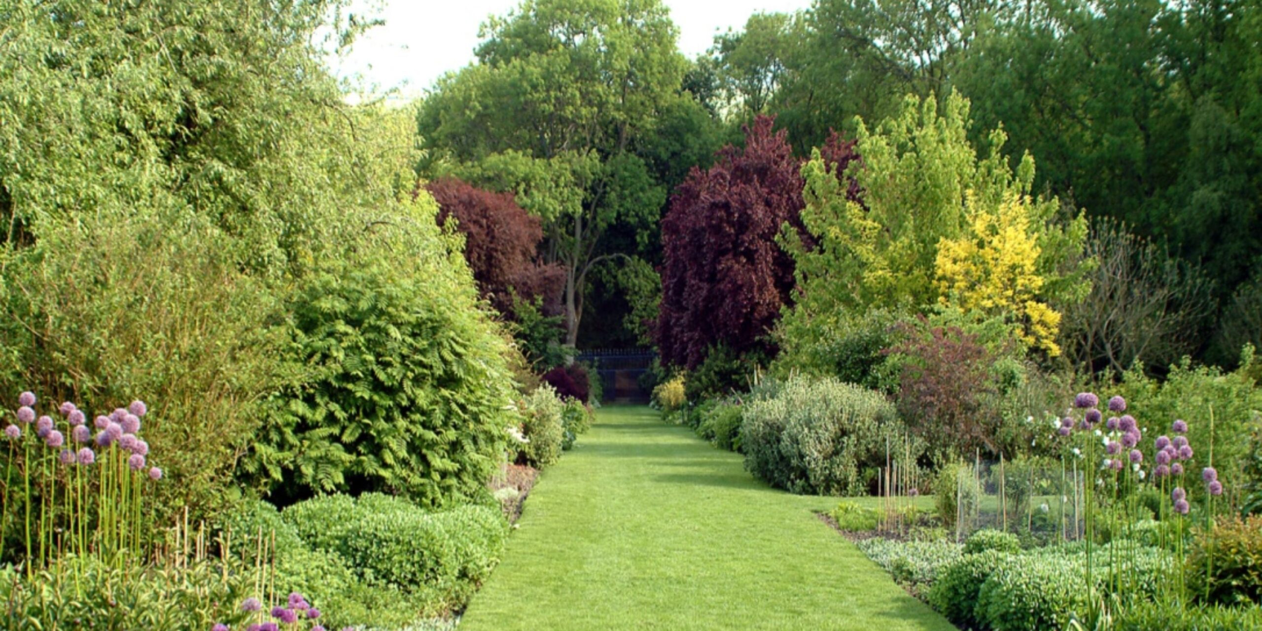 Zelf tuin aanleggen in 5 stappen: nuttige tips + kosten