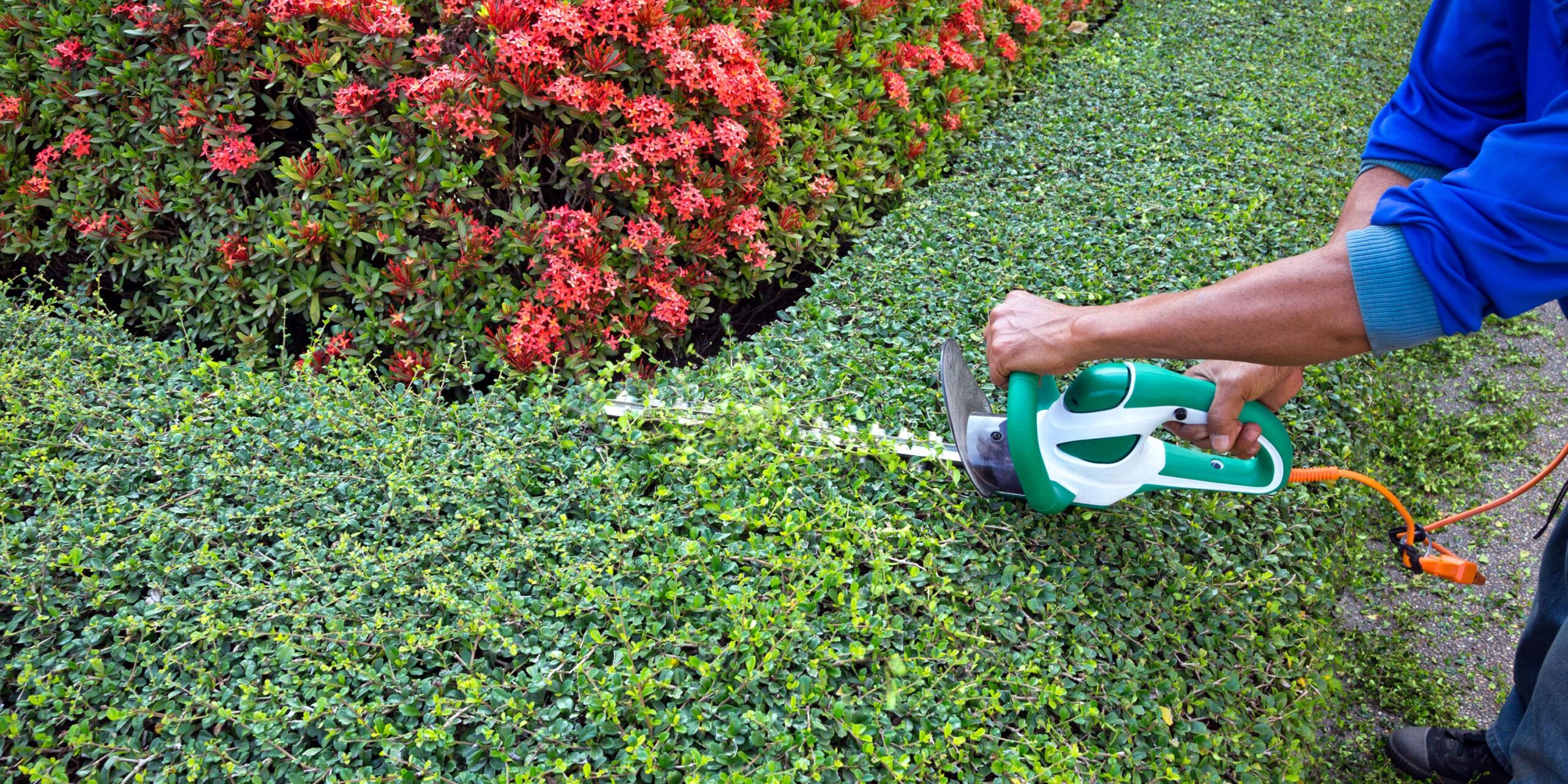 Zelf tuin aanleggen in 5 stappen: nuttige tips + kosten